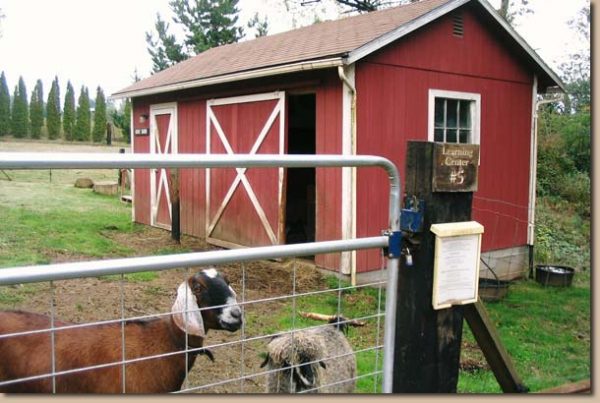 About Us - Old McDonald's Farm, Inc.