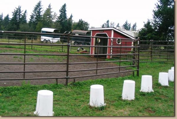 About Us - Old McDonald's Farm, Inc.